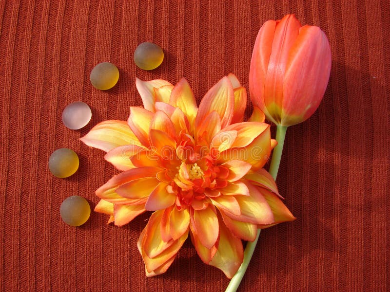 Flowers & Pebbles Picture. Image: 1113206