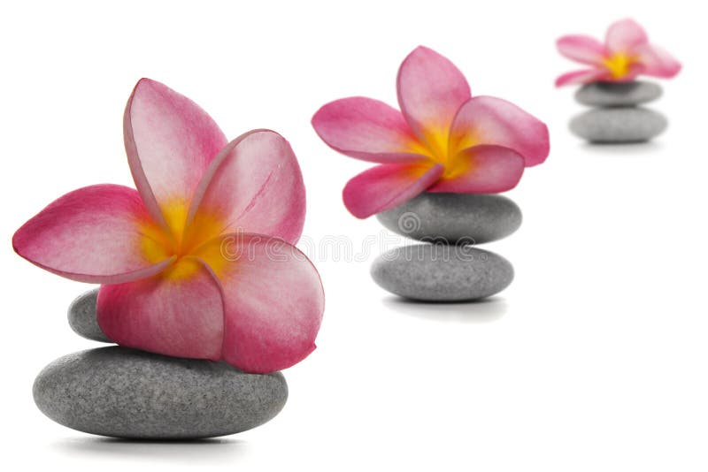 Flowers and Pebbles stock image. Image of chedi, ancient - 11417909