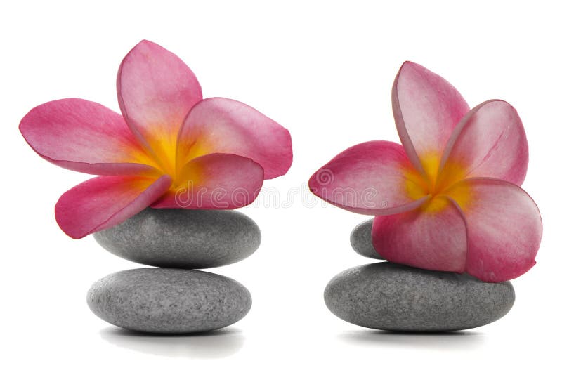 Flowers and Pebbles stock image. Image of spirituality - 11417951