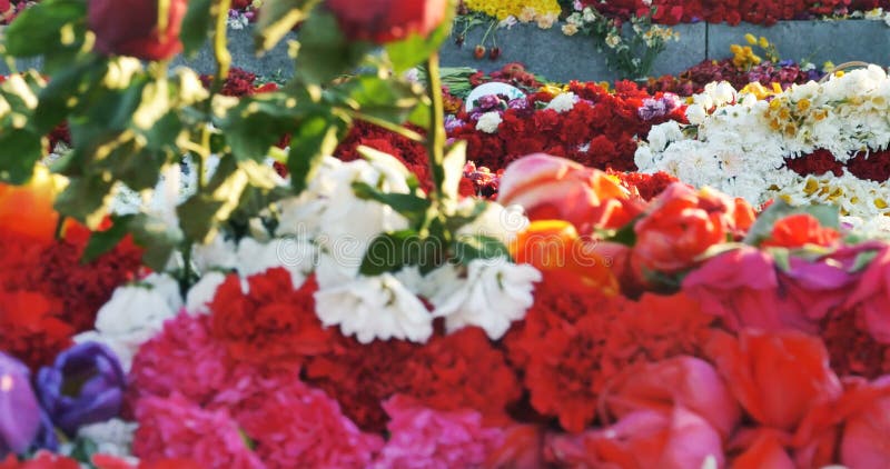 Flowers Placed at a Monument for Victory Day of World War 2 Stock Video ...