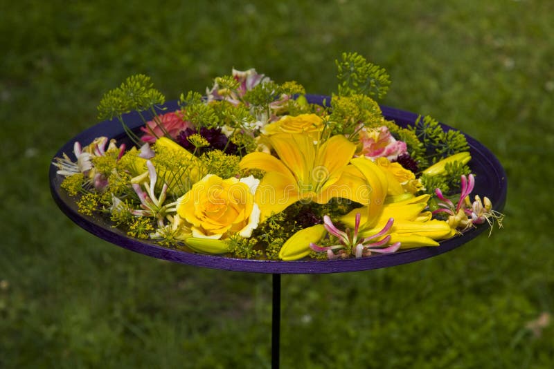 Flowers on plate stock photo. Image of gourmet, materials - 20258554