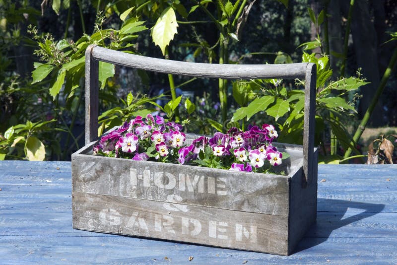 Flowers pot stock image. Image of composition, flower - 8937193