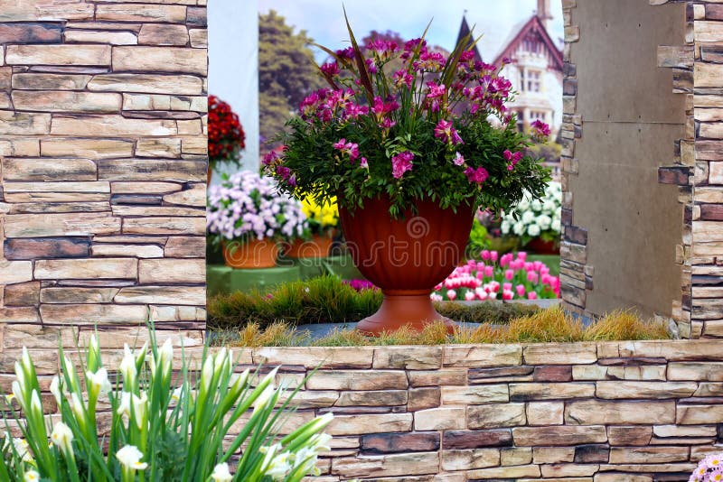 Flowers in Pot at the Flower Exhibition Stock Photo - Image of flower ...