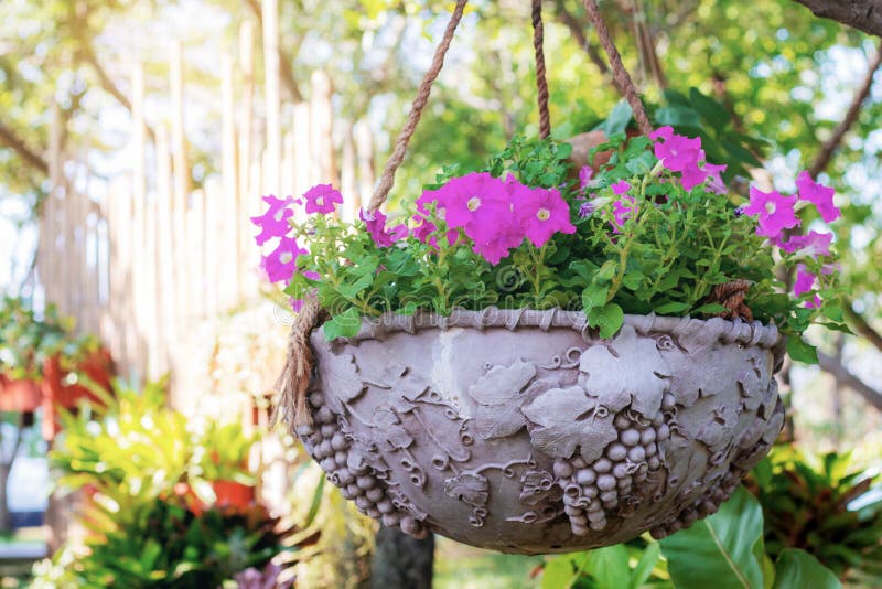 Flowers in pot with tree. stock photo. Image of glossy - 123614186