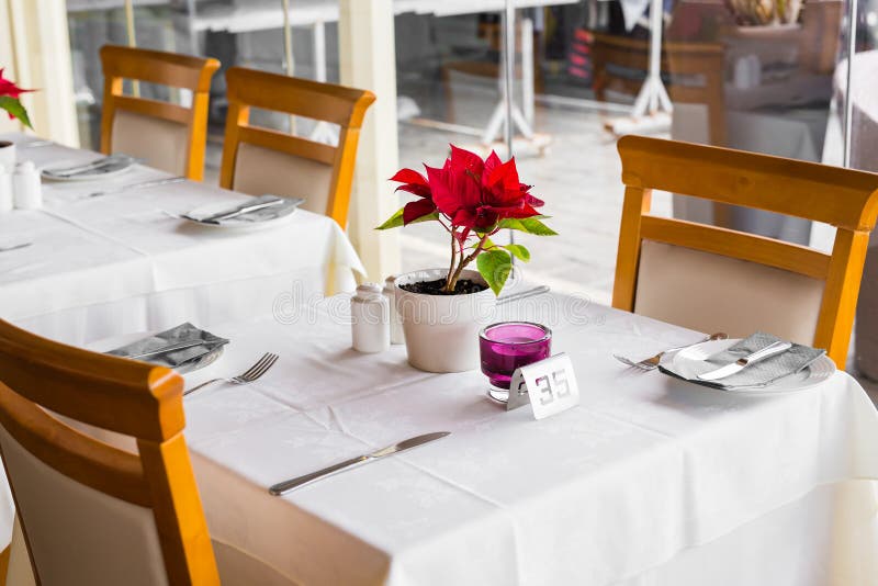 Flowers Pots Decoration on the Table Stock Image - Image of garden ...