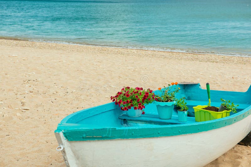 Flowers Pots Old Boat Seashore Stock Photos - Free & Royalty-Free Stock ...