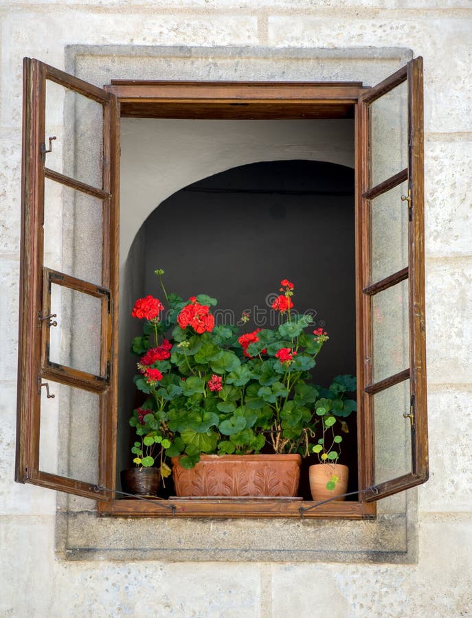 Flowers in Pots in the Open Window Stock Image - Image of decor, detail ...