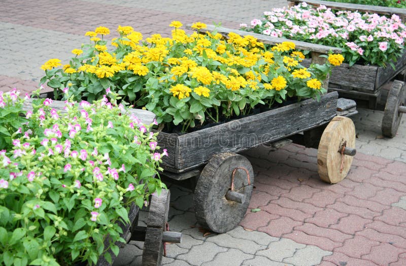 Flowers on Pots in Wooden Box Stock Image - Image of abstract, geranium ...