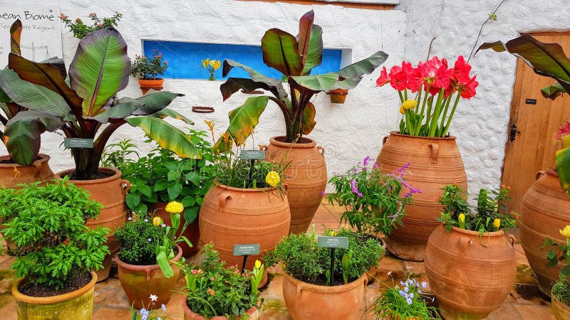 Gud Selection Stock Photos - Free & Royalty-Free Stock Photos from ...