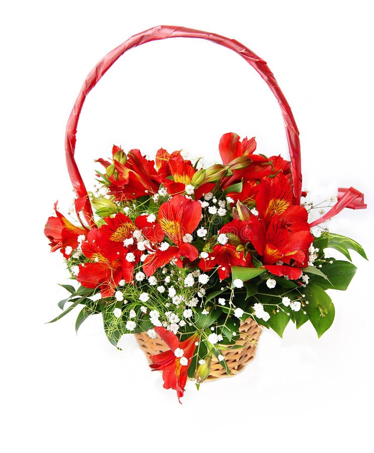 Flowers in punnet stock image. Image of gorgeous, isolate - 14831095