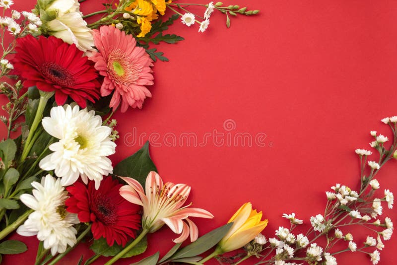 Flowers on a Red Background. with Copy-Space. Art Floral Frame on a Red ...