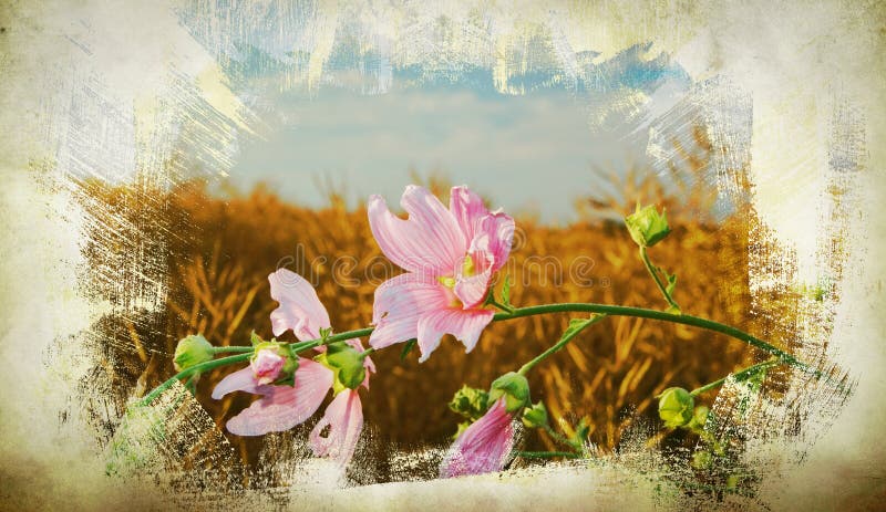 Flowers - Retro Style Flowers - Pictur Stock Image - Image of aromatic ...