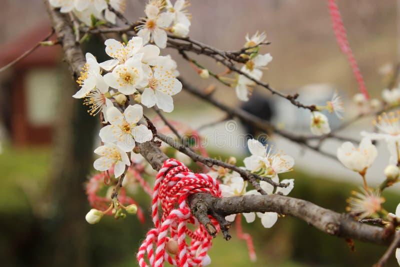 Flowers and Ribbon of Memory Stock Photo - Image of bulgaria, march ...
