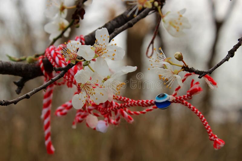 Flowers and Ribbon of Memory Stock Image - Image of leaf, outdoors ...