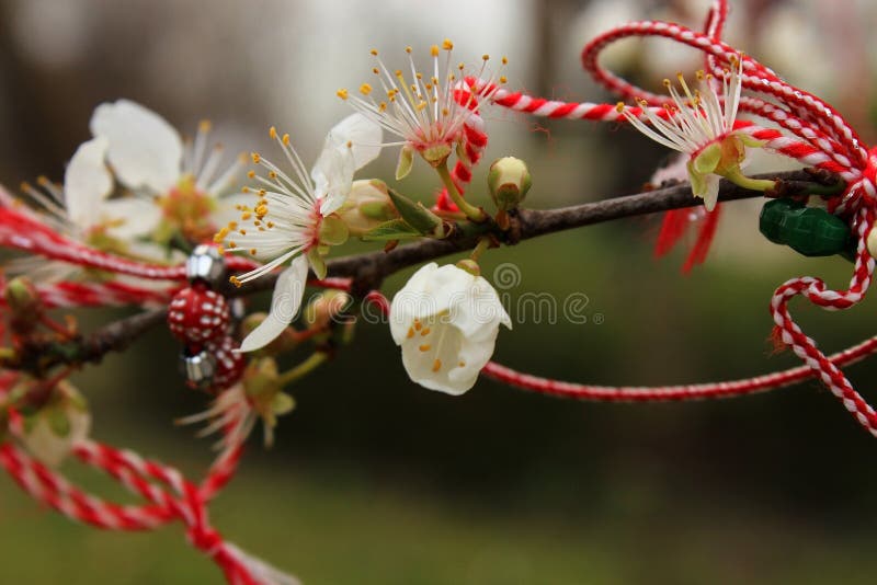 Flowers and Ribbon of Memory Stock Photo - Image of florist, park: 51406060