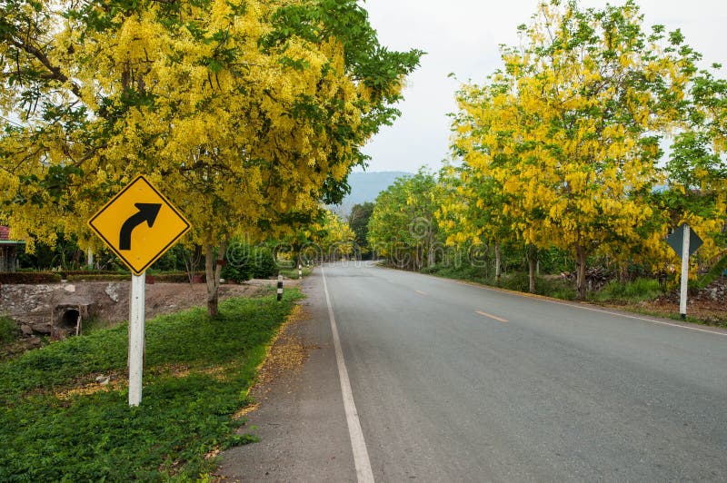 Flowers by road stock photo. Image of gardening, pattern - 39897796