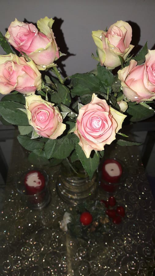 Flowers stock image. Image of milan, flowers, summer - 135365859