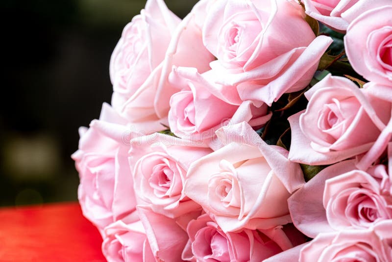 Flowers Roses Delicate Colors in the Bouquet Lying Stock Image - Image ...