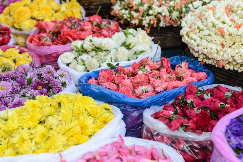 Indian Flowers Seller Stock Images - Download 207 Royalty Free Photos