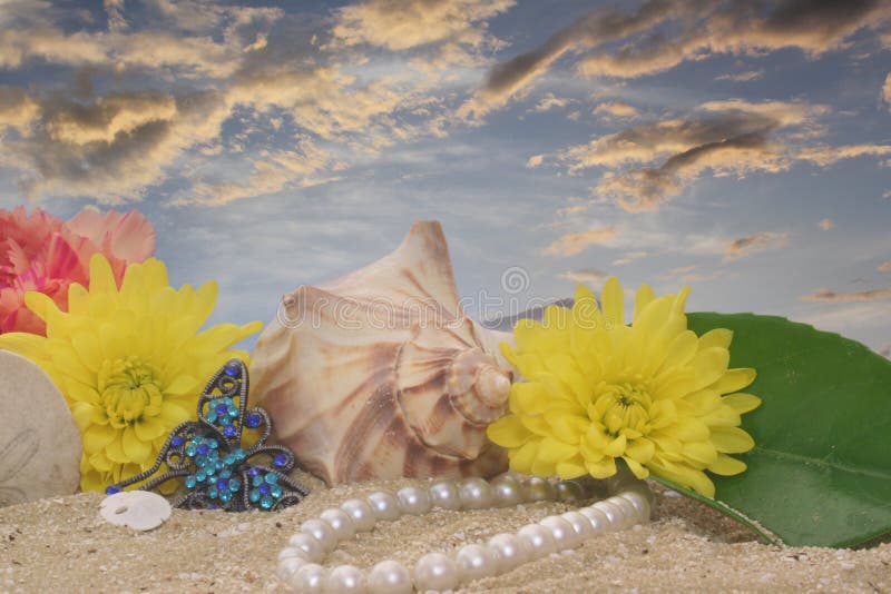 Flowers and Sea Shells stock photo. Image of aqua, spring - 5843808