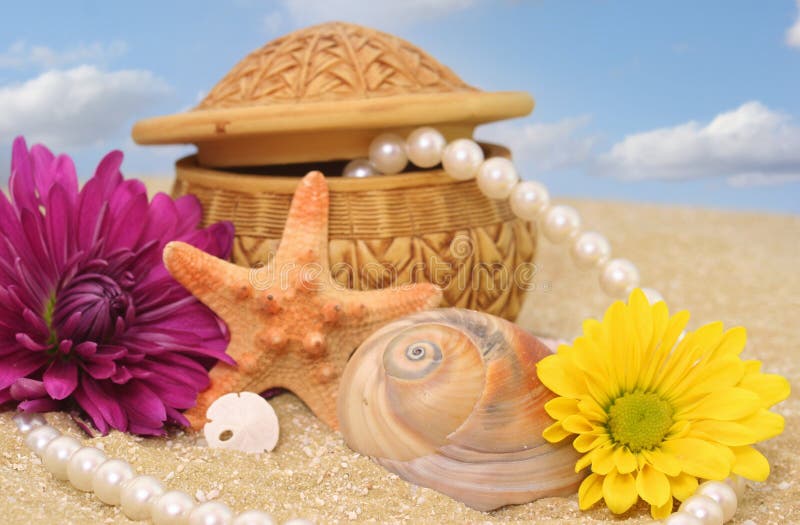 Flowers and Sea Shells on Sandy Beach, Shallow DOF Stock Photo - Image ...