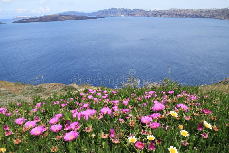 Flowers and see stock image. Image of greece, stone, cape - 40865475