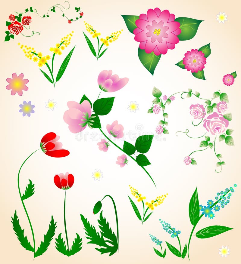 Flowers set stock vector. Illustration of isolated, wallpaper - 13829600