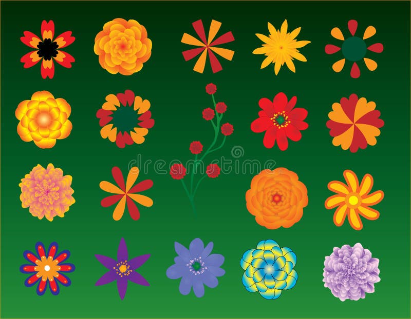 Flowers set stock illustration. Illustration of exquisite - 2066210