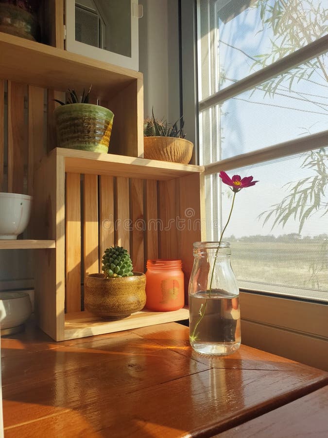 Flowers in a small corner stock photo. Image of home - 184747310