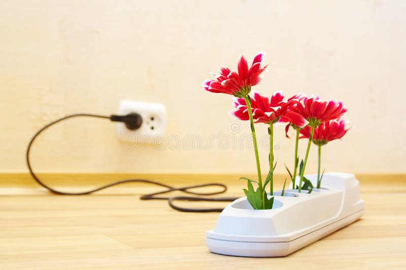 Flowers in socket stock photo. Image of outlet, line, floor - 9087974