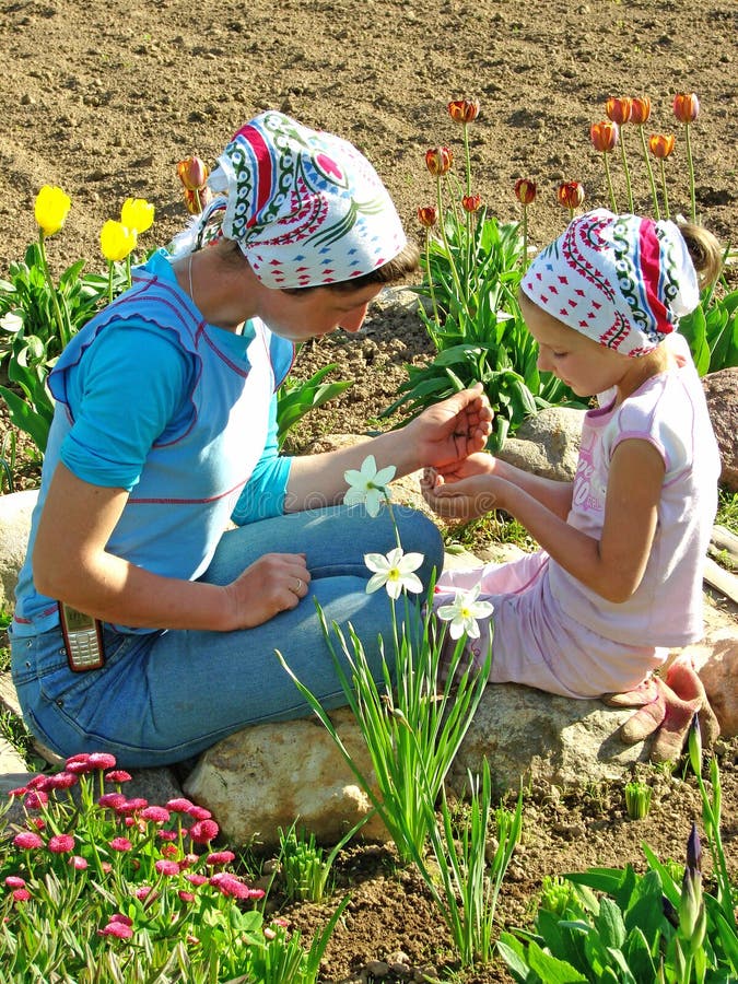 Sowing seeds stock photo. Image of hand, flora, cropping - 14064094