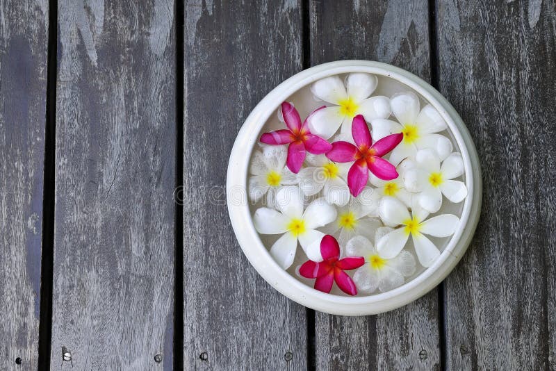 Flowers at spa stock photo. Image of lifestyle, aromatherapy - 16212170