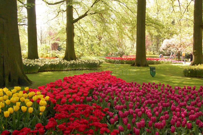 Flowers and spring stock photo. Image of trees, bright - 13791860