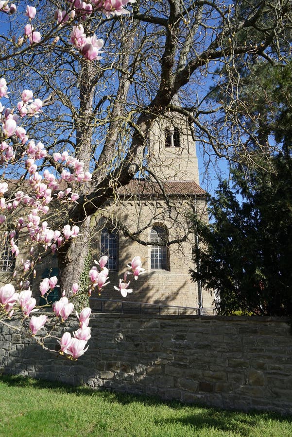 Flowers in Spring and a Church in the Background Stock Photo - Image of ...