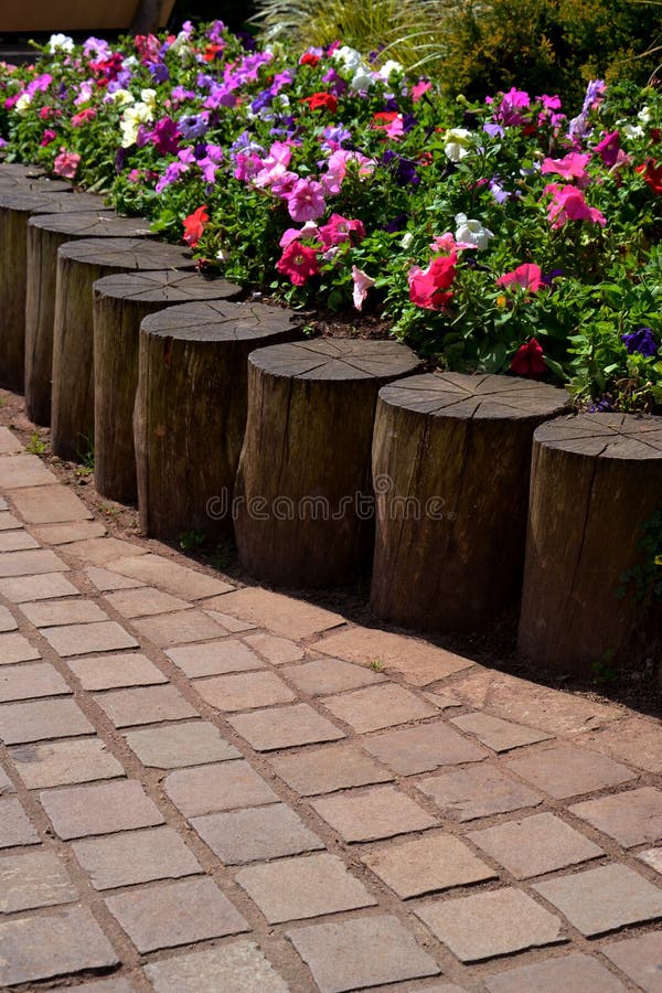 Flowers in the square stock image. Image of nature, grama - 53321963