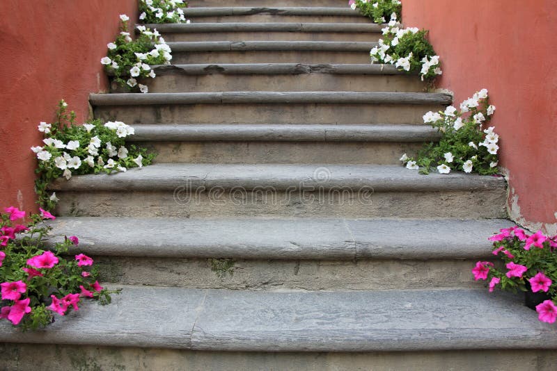 Flowers on stairs stock image. Image of design, staircase - 44538331