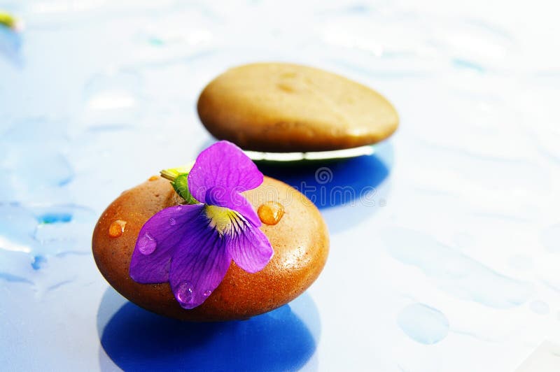 Spirit and body wellness stock photo. Image of care, tranquility - 15253526