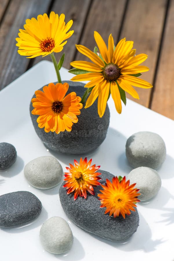Flowers and stones stock photo. Image of calendula, deco - 33057018