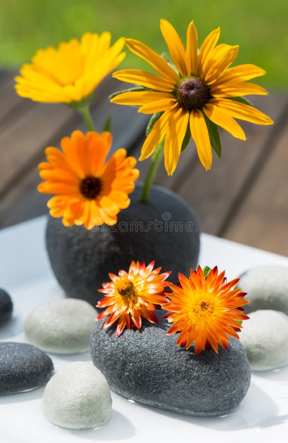 Flowers and stones stock image. Image of remedy, deco - 33057025