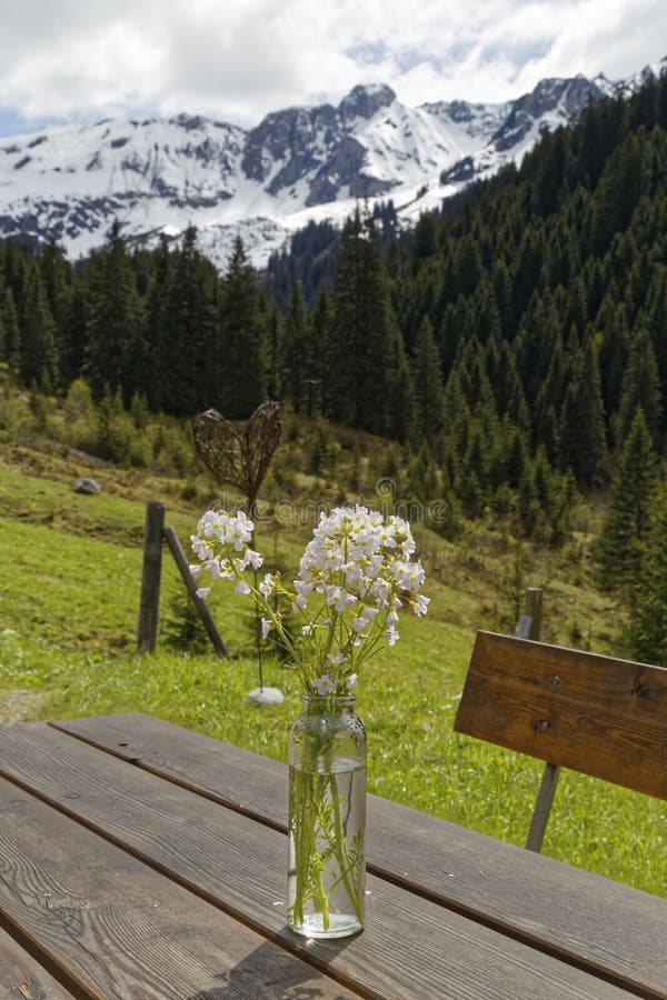 Flowers on a Table in the Austrian Alps Stock Photo - Image of alpine ...