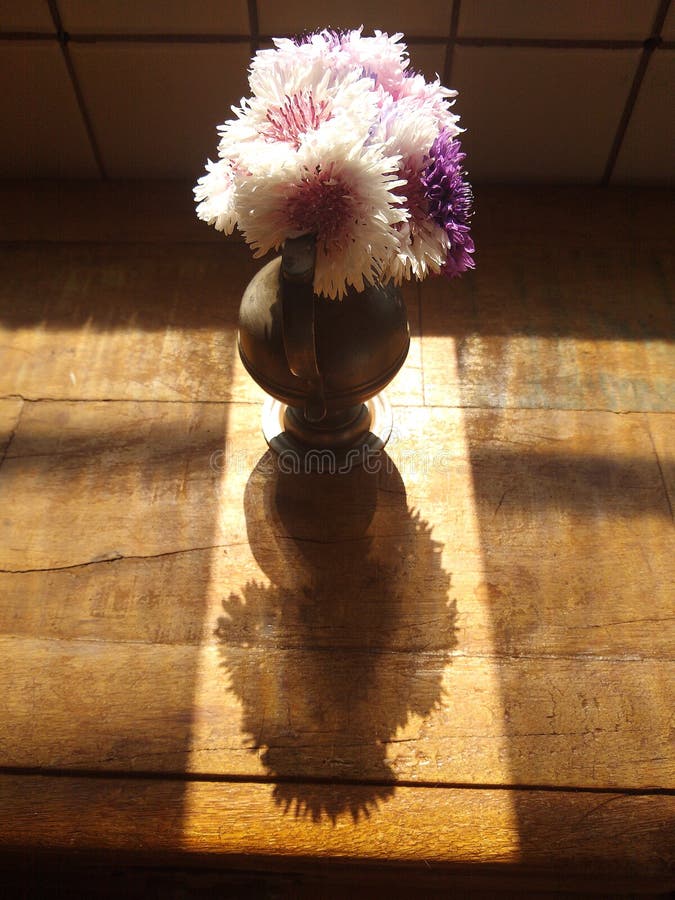 Flowers on a Table with Sunlight Stock Photo - Image of color, desk ...