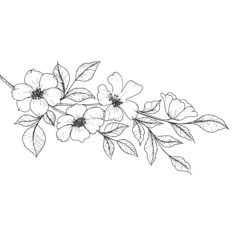 Flowers in the Technique of Hand Drawing Stock Vector - Illustration of ...