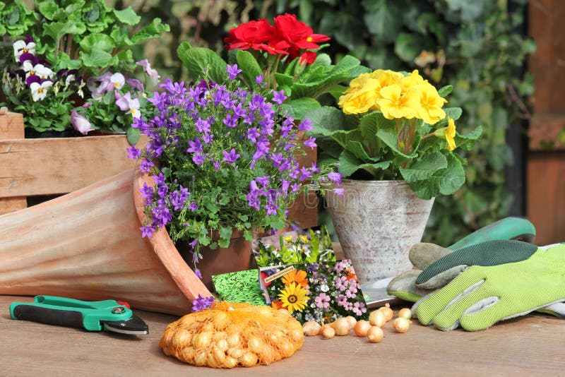 Flowers To Plant, Terracotta Cornucopia Stock Image - Image of ...