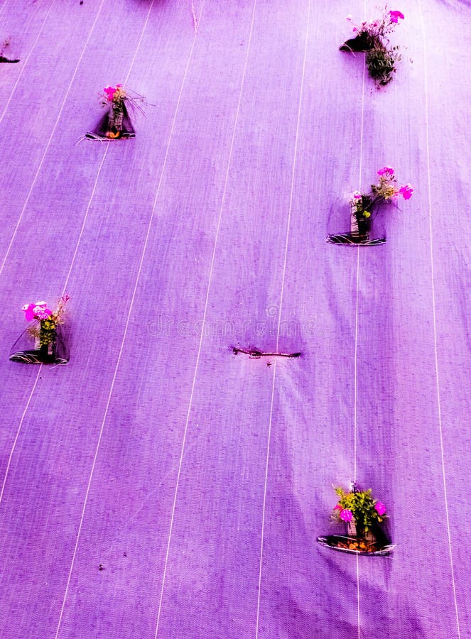 Flowers trapped in a tarp stock image. Image of environment - 73847169