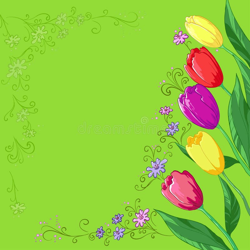 Flower, tulips, contour stock vector. Illustration of botanic - 18112003