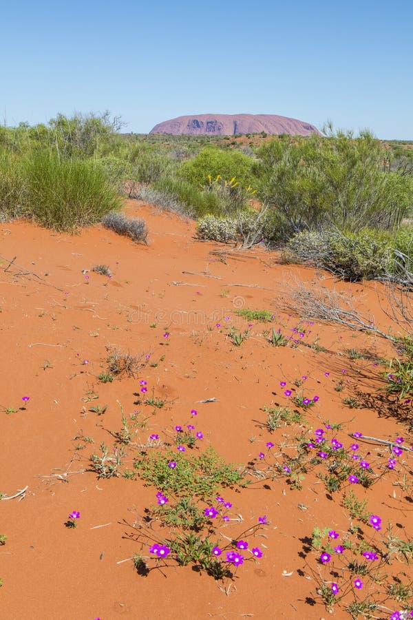 Kata Tjuta and Uluru editorial stock photo. Image of kata - 95331823