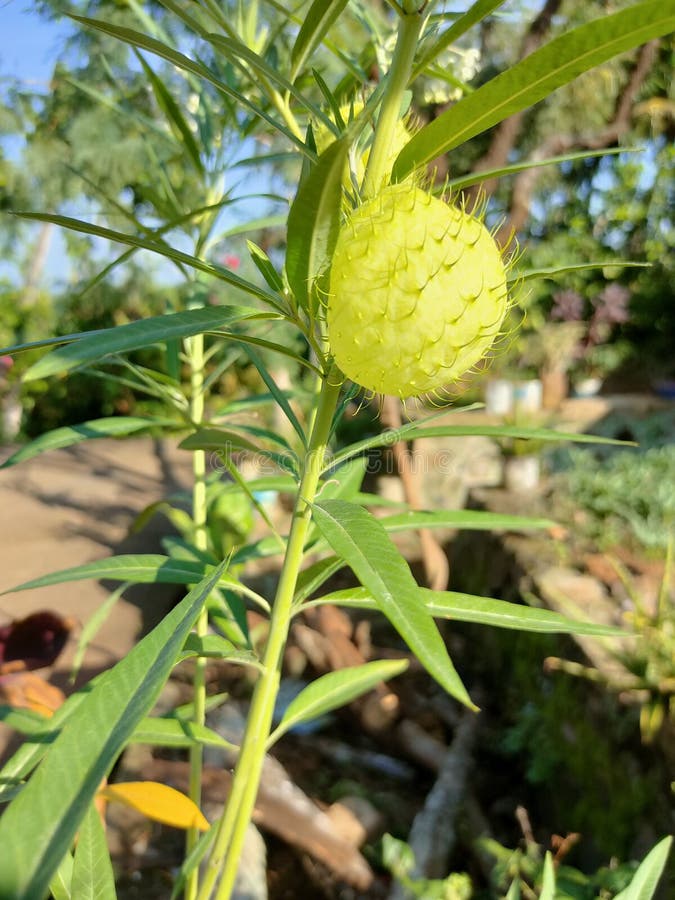 Unique Shape and Designed High Quality Table Image, Table on the Floor ...