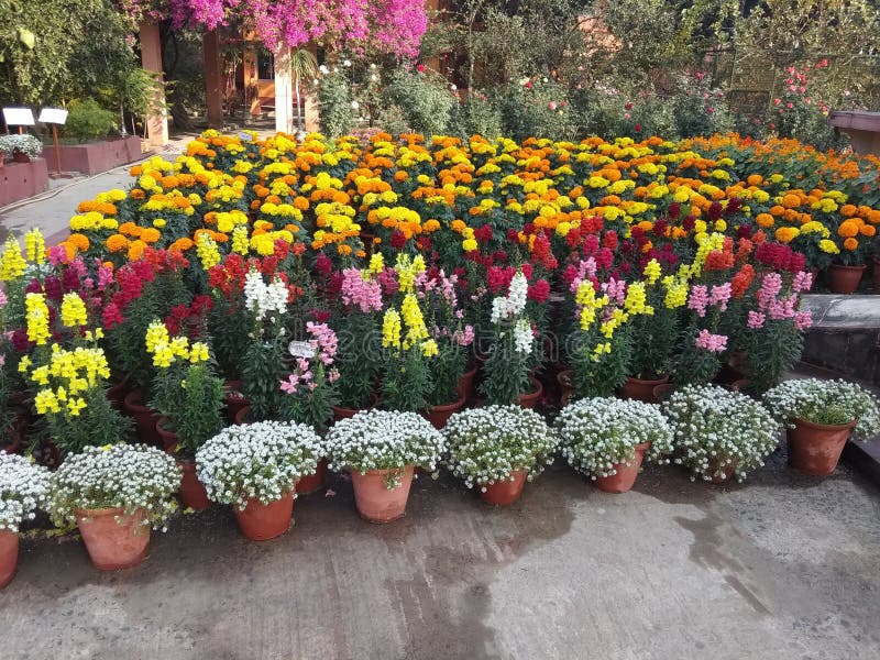 Nimpith Stock Photos - Free & Royalty-Free Stock Photos from Dreamstime