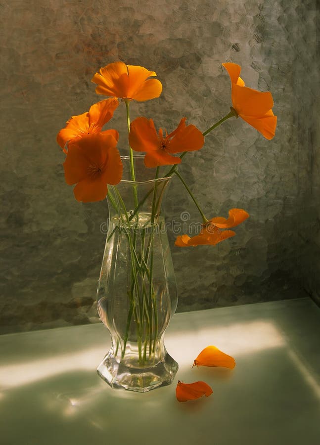Flowers in a vase stock image. Image of sunny, flower - 2753957