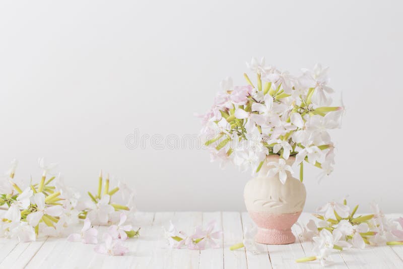 Flowers In Vase On White Background Stock Photo - Image of celebration ...